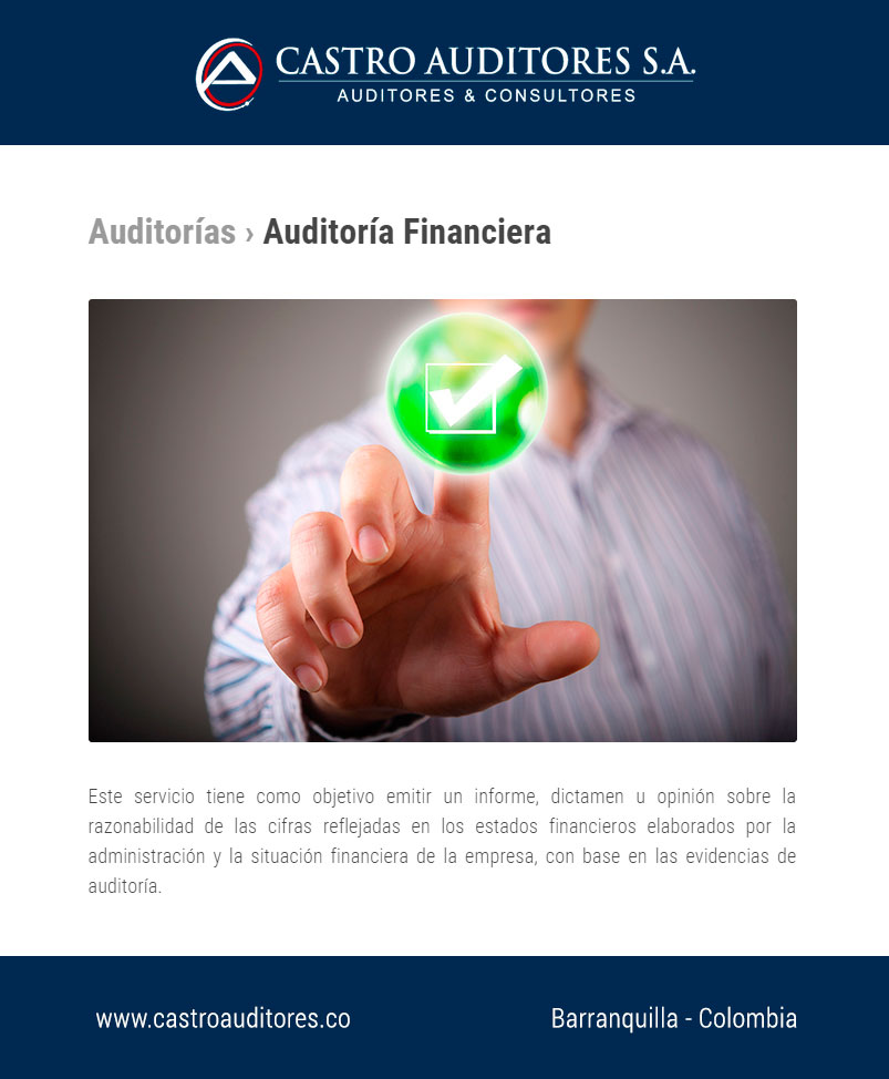 Auditoría Financiera › Castro Auditores S.A.