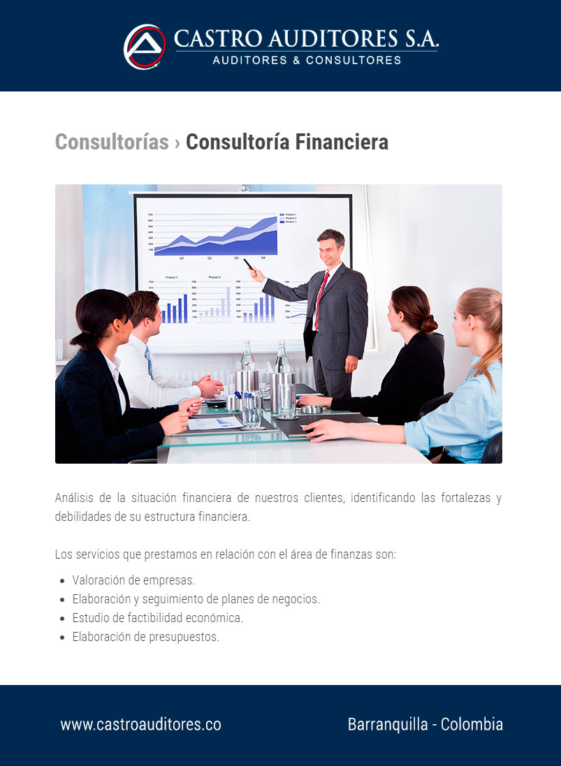 Consultoría Financiera | Castro Auditores S.A.